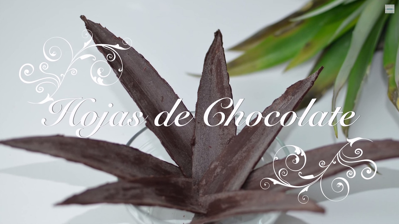Hojas de Chocolate para decorar Tartas – Chef de mi Casa